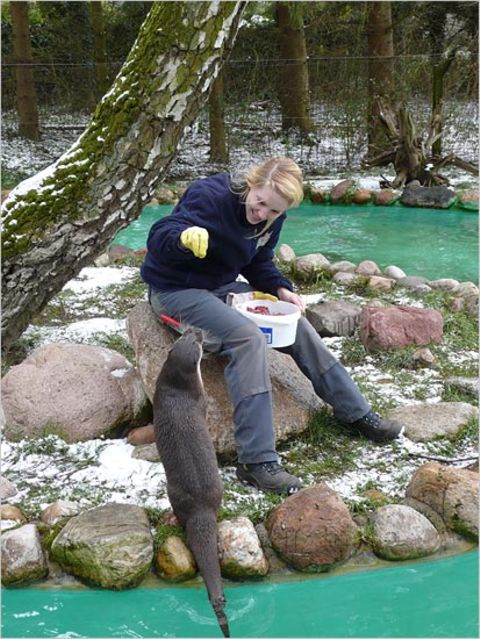 Beruf: Tierpfleger/in - [GEOLINO]