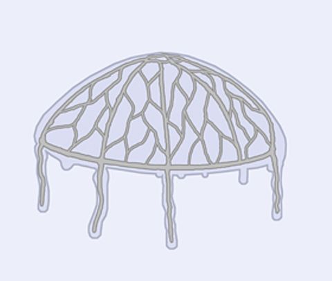 Das Gehirn: Evolution des Gehirns - [GEO]