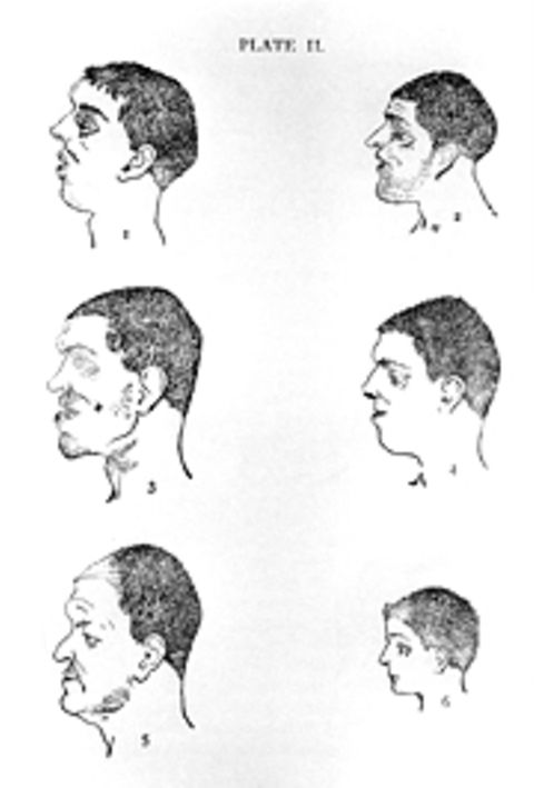 Das Gehirn: Phrenologie - [GEO]