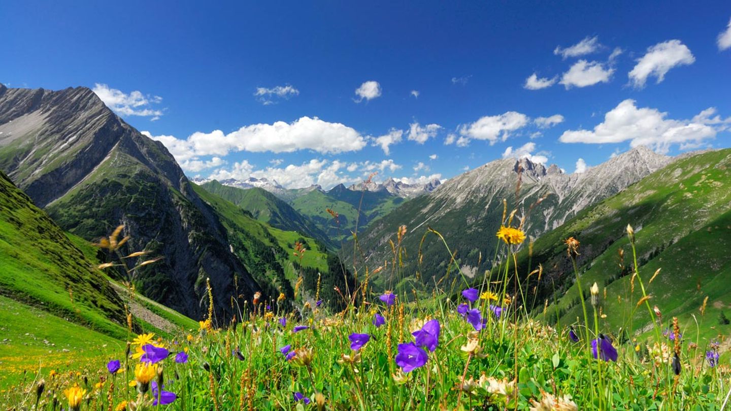 Bergregionen: Rettet die Alm! - [GEO]