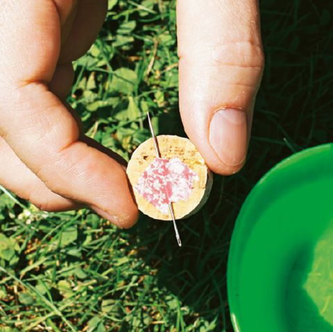 Bastelanleitung: Nadelkompass selbst basteln - [GEOLINO]