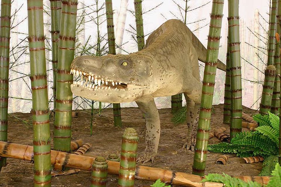 Dinosaurier - Erfolgsmodelle der Evolution - [GEOLINO]