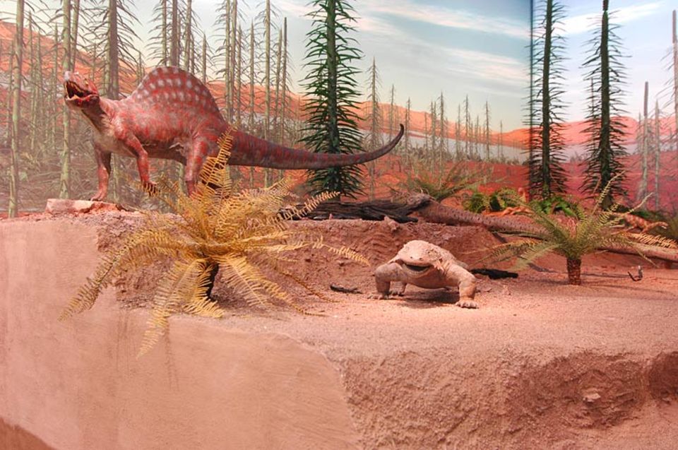 Dinosaurier - Erfolgsmodelle der Evolution - Bild 3 - [GEOLINO]