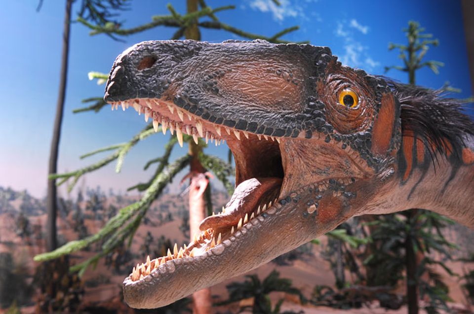 Dinosaurier - Erfolgsmodelle der Evolution - Bild 5 - [GEOLINO]