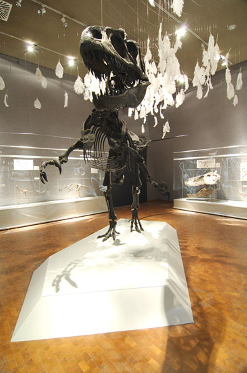 Dinosaurier - Erfolgsmodelle der Evolution - Bild 15 - [GEOLINO]