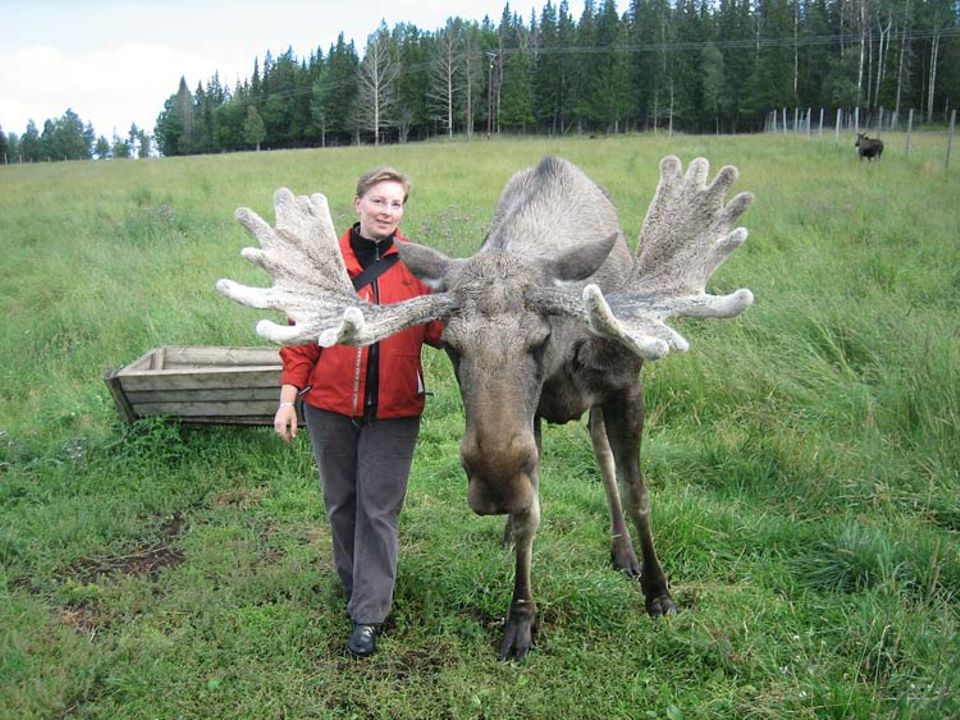 GEO-Reporter unterwegs: Fotogalerie: GEO-Reporter unterwegs - Bild 41 ...