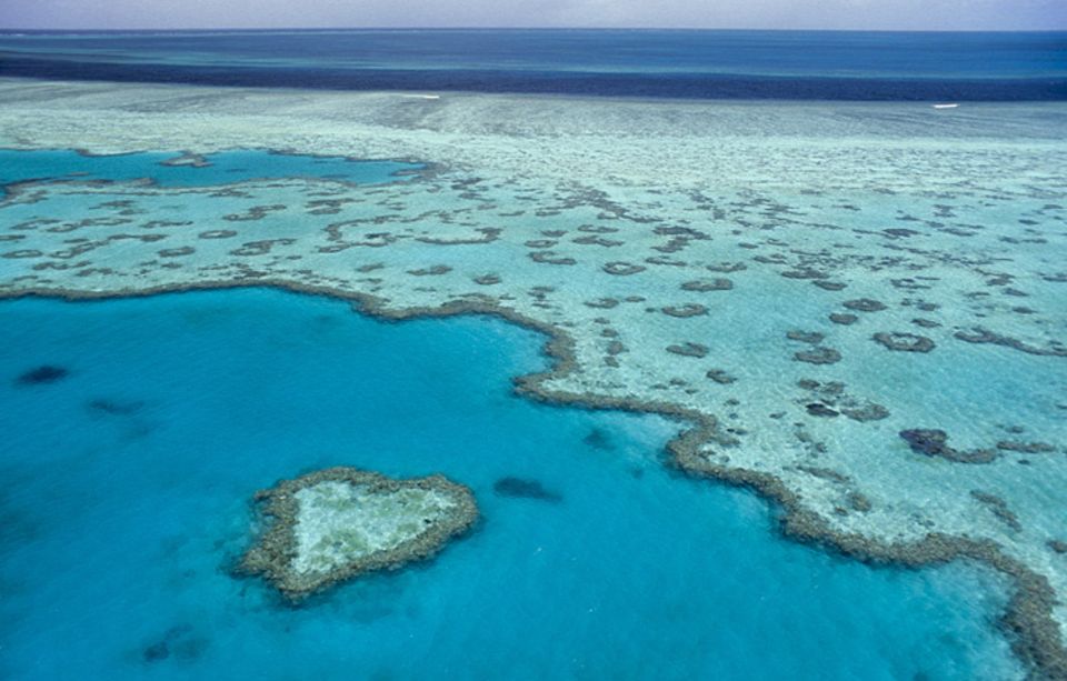 Great Barrier Reef - [GEO]