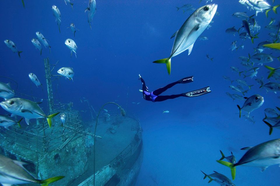 Fotogalerie: Fotogalerie: Apnoetauchen - Bild 8 - [GEO]