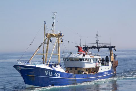 Fotogalerie: Nachhaltiger Fischfang - [GEO]