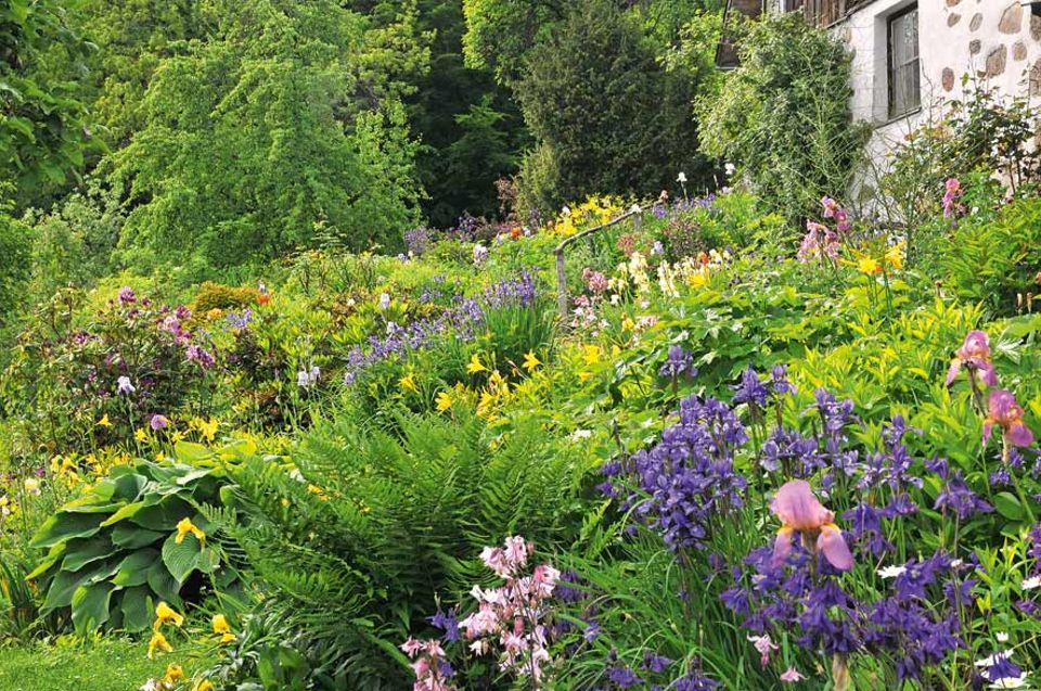 Gartengestaltung: Mein Naturgarten - [GEO]