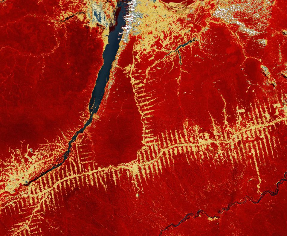 Brazilian scars - [GEO]