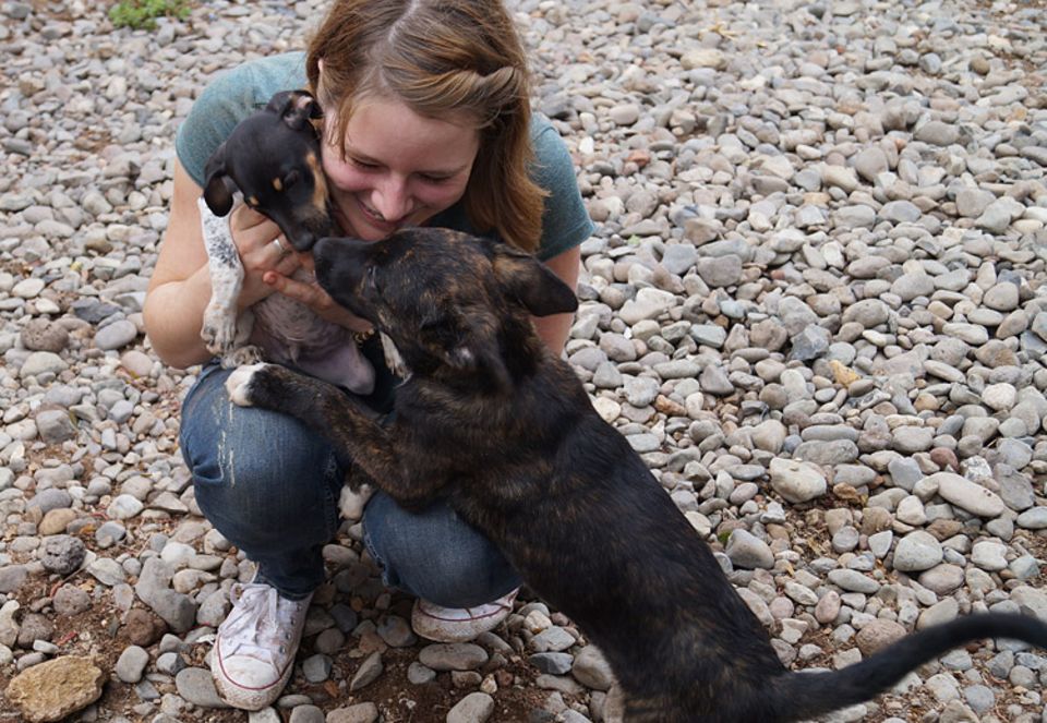 Tierschutz: Neues Leben für Streunerhunde - Bild 3 - [GEOLINO]