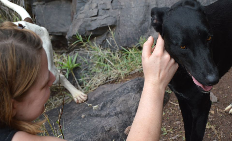 Tierschutz: Neues Leben für Streunerhunde - Bild 11 - [GEOLINO]