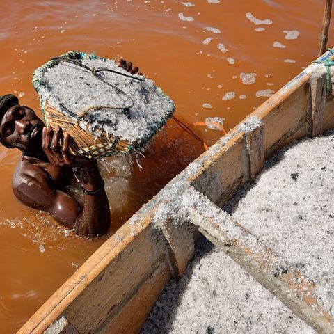 Extremer Salzgehalt: Dieser Tümpel ist das salzigste Gewässer der Erde ...