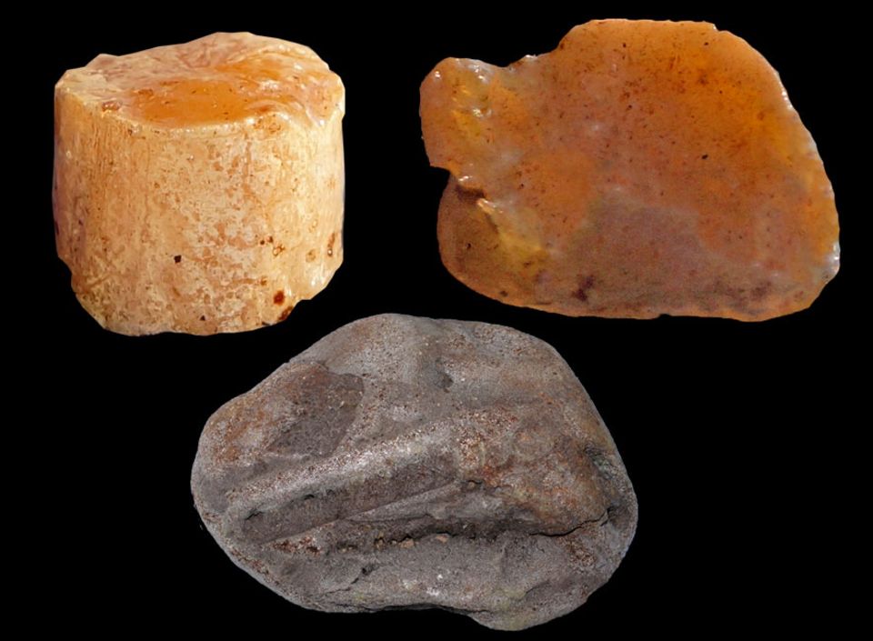 Fossiliensuche an der Ostsee: Ausflug in die Urzeit - [GEO]