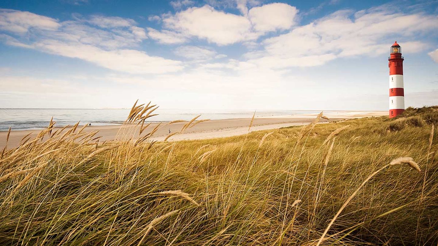 Sankt Peter-Ording: Kitesurfen und Nordseeluft - [GEO]
