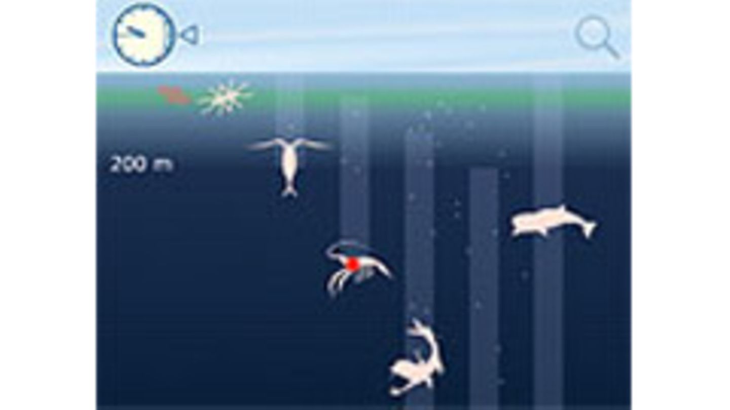 So funktioniert die Tiefsee - [GEO]