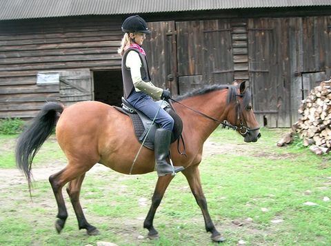 Mein Hobby: Das Reiten - [GEOLINO]