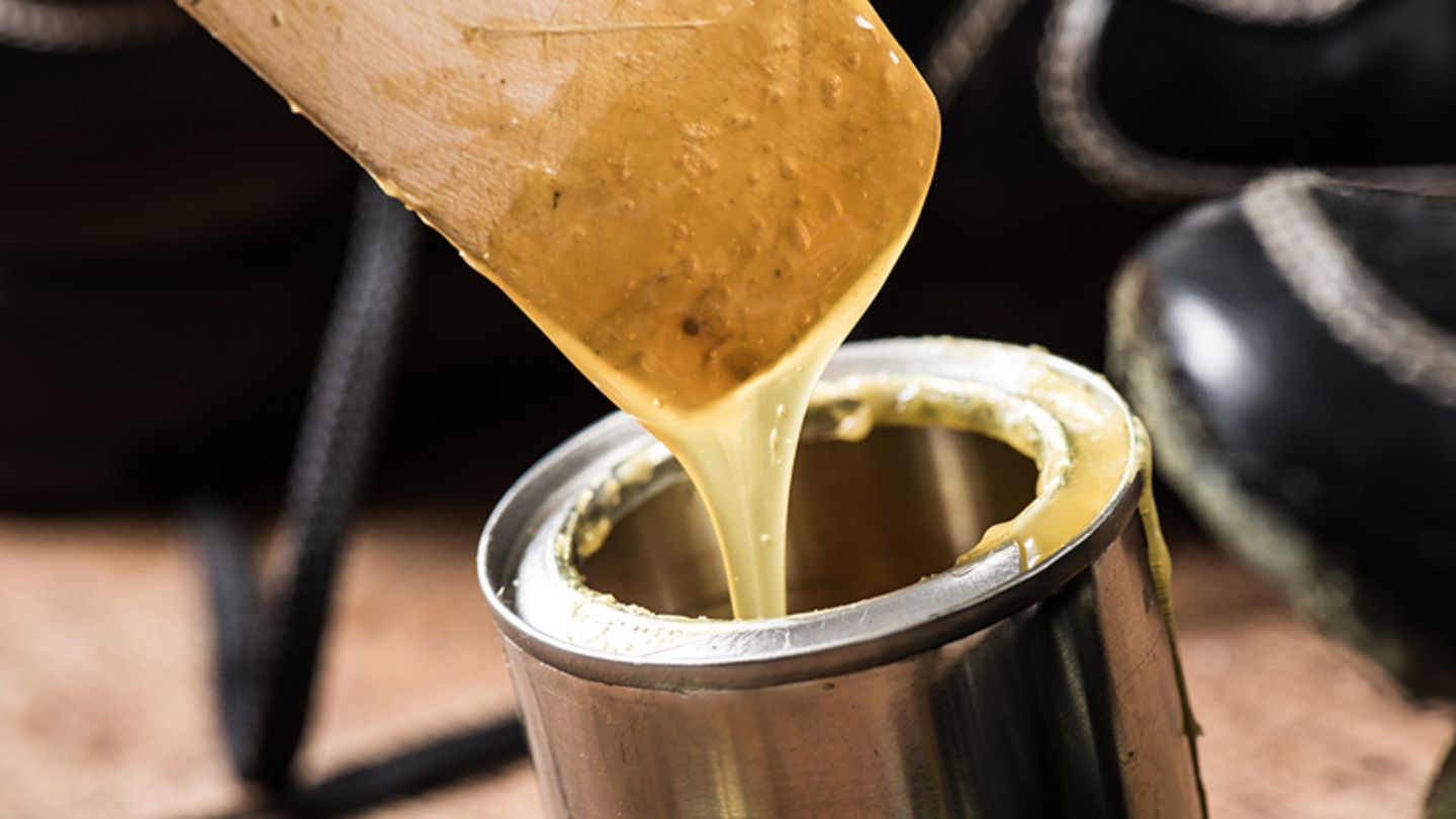 Auf den Leim gehen - Redewendung - [GEOLINO]