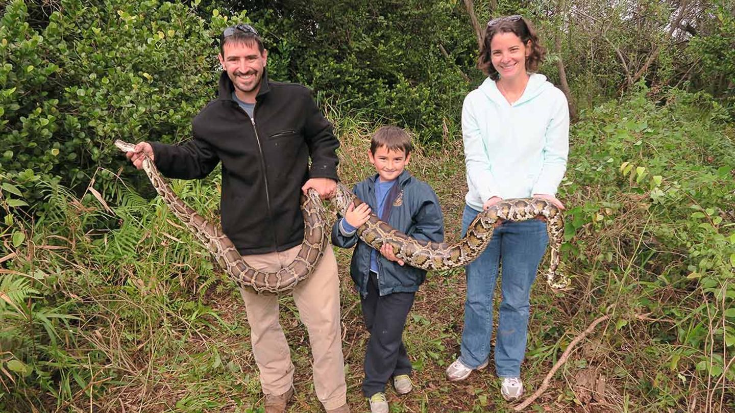 Florida, Invasion der Pythons - [GEO]