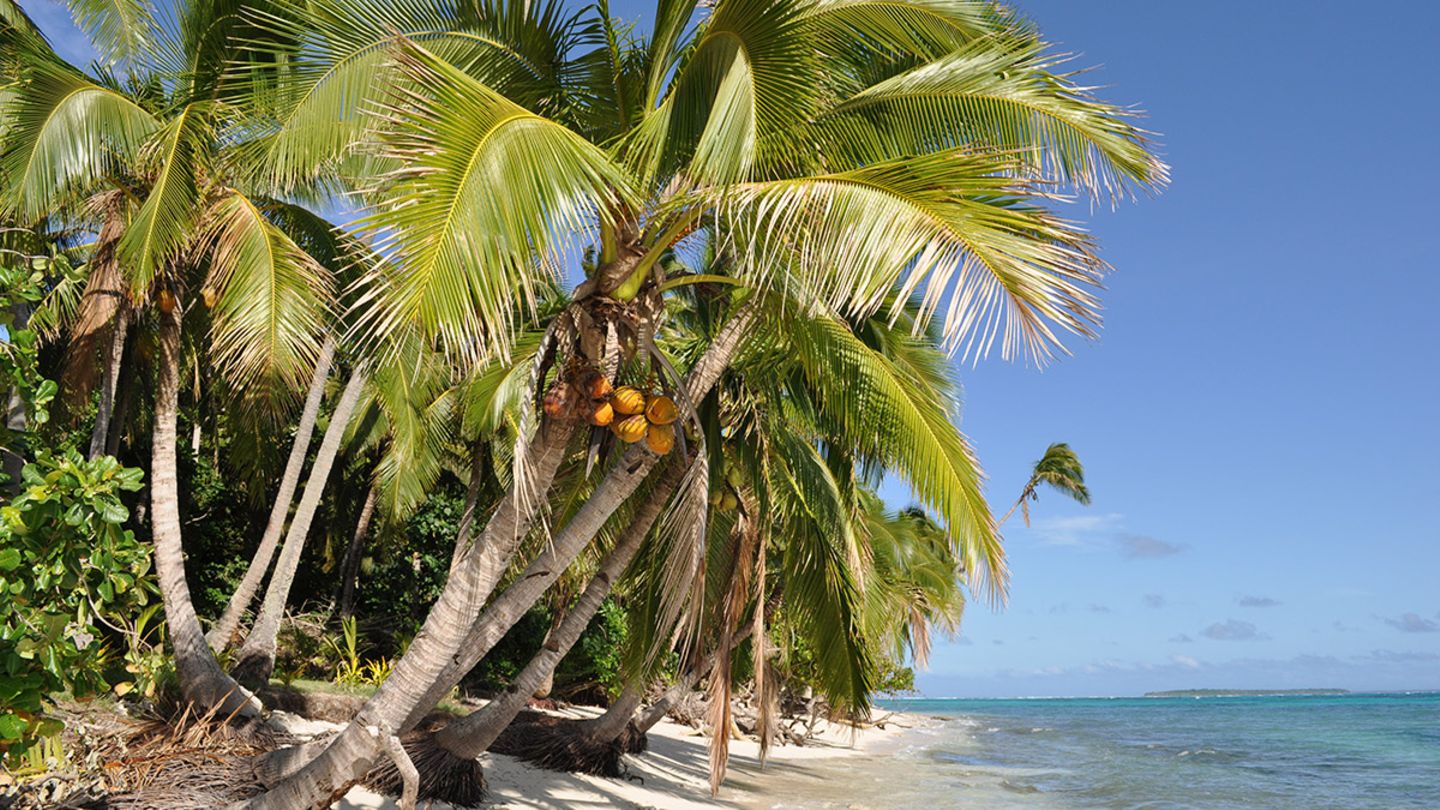 Aussteigen auf Zeit: 10 Dinge, die man auf einer einsamen Insel ...