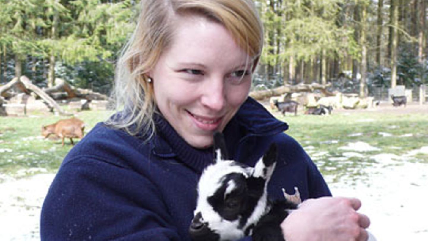 Beruf: Tierpfleger/in - [GEOLINO]