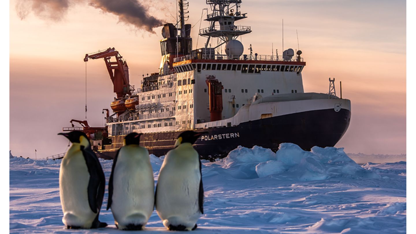 Fotostrecke: Auf dem Forschungsschiff "Polarstern" - Bild 3 - [GEOLINO]