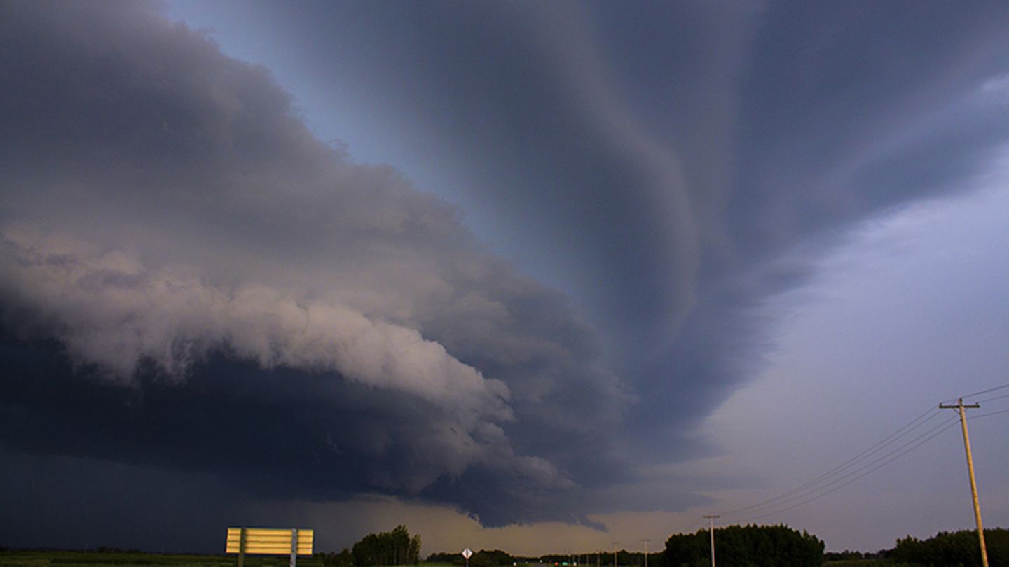 Aus Wind Wird Sturm , Aus Wind wird Sturm – GOMW