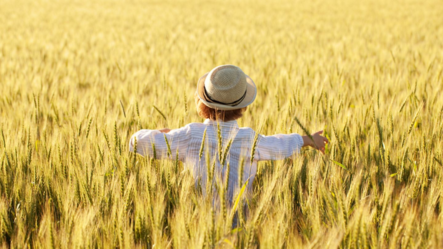 Die Flinte ins Korn werfen - [GEOLINO]