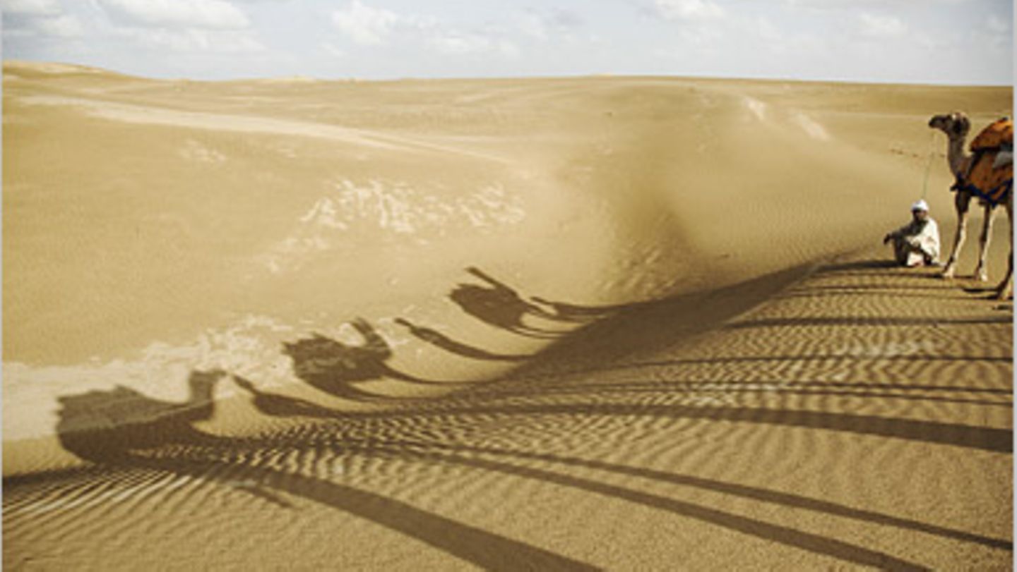 Wissenstest: Wüsten - [GEOLINO]