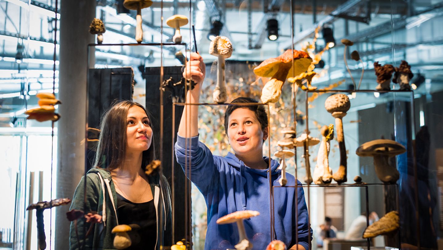 Kindermuseen: Die besten Museen für Kinder - [GEOLINO]