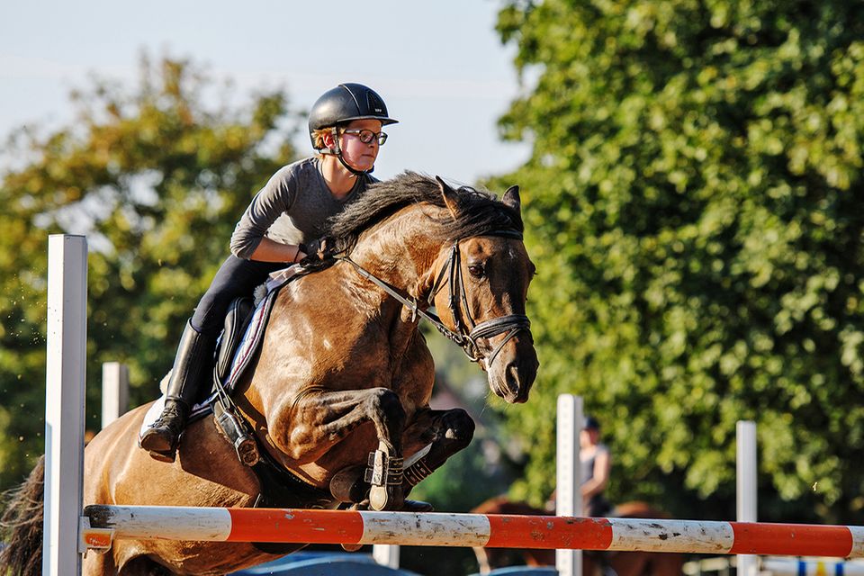Springreiten: Ein Tag beim Sprungtraining - [GEOLINO]