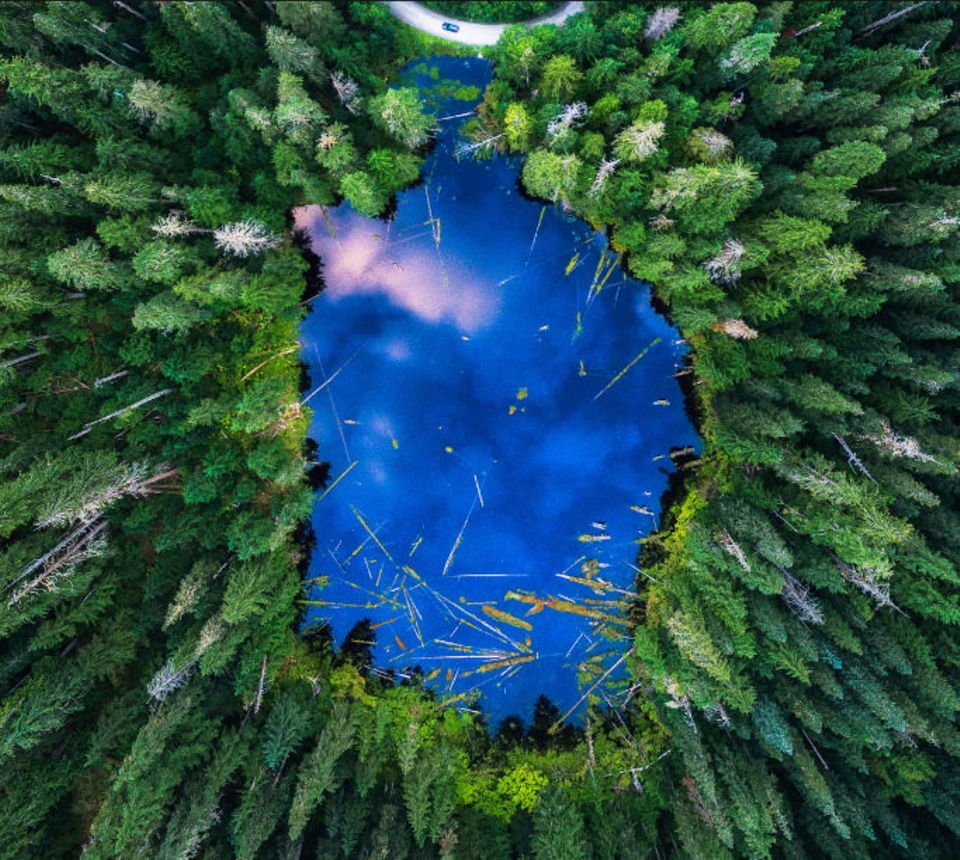 Die Farben des Myrtle Lake - [GEO]