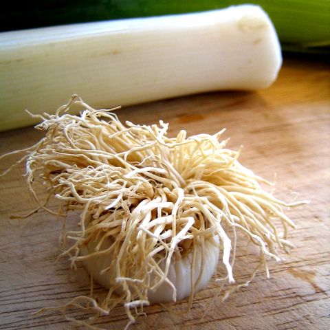 Ingwer selbst ziehen - so einfach geht's! - [GEO]