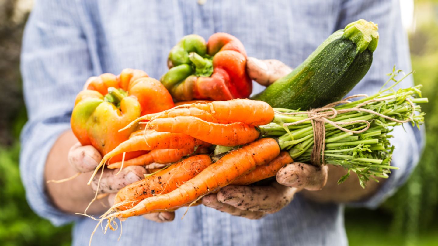 März: Vorgezogene Salate anpflanzen - [GEO]