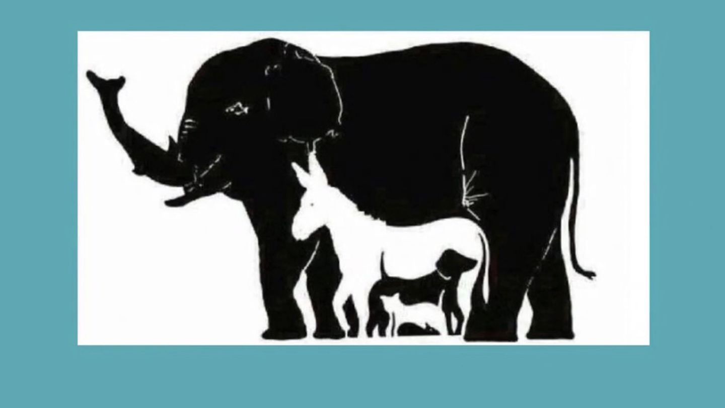 Suchspiel: In dieser Zeichnung verstecken sich 16 Tiere - entdecken Sie ...