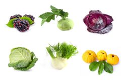 Saisonkalender September: Obst & Gemüse - [GEO]