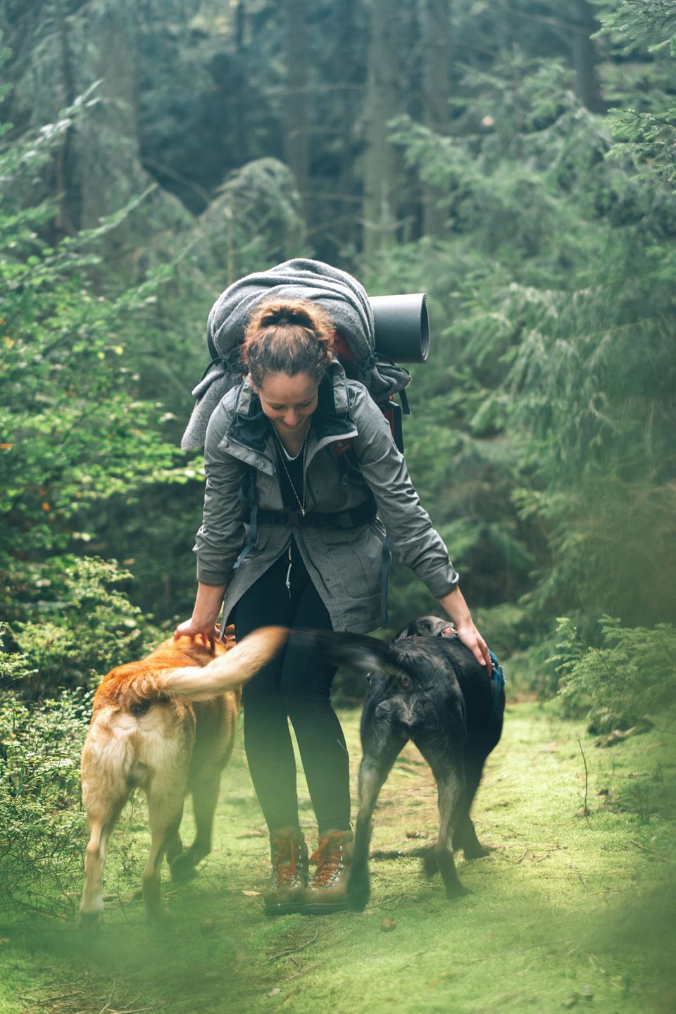 1200 Wanderwege - [GEO]