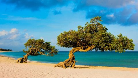 Karibische Inseln: Traumziele der Karibik - [GEO]