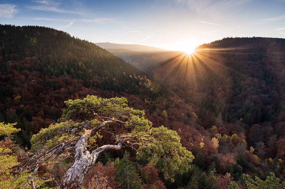 Ab durch die Mitte: Unterwegs im Harz: Die besten Touren für Wanderer ...