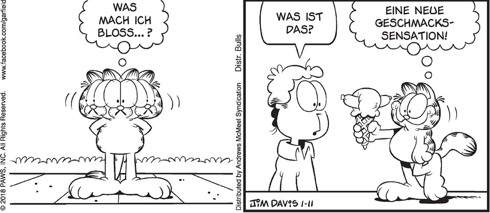 40 Jahre Garfield Die Lustigsten Momente GEOLINO 40 Jahre Garfield Die Lustigsten Momente GEOLINO