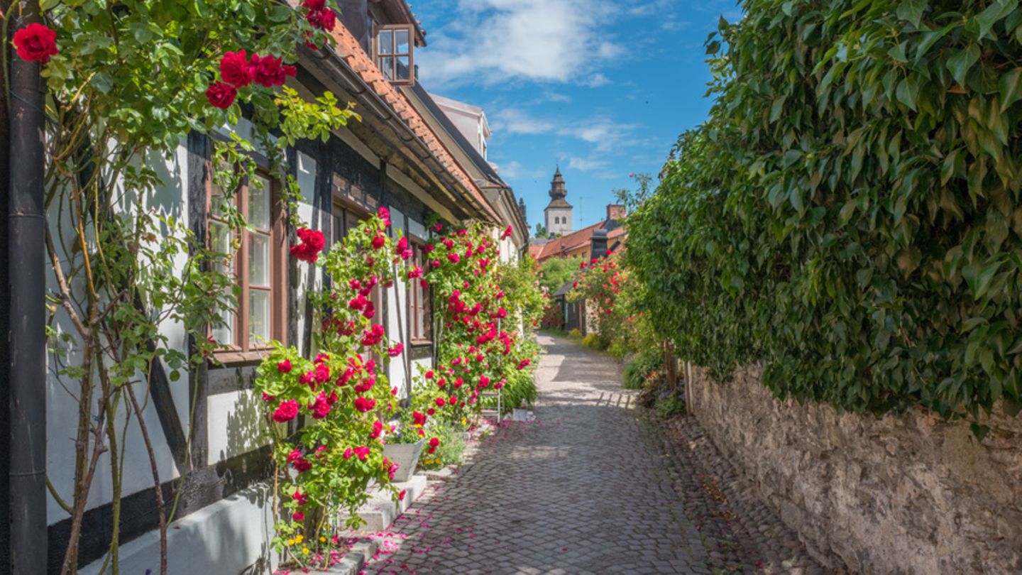 Visby: Schwedens schöne Hansestadt - [GEO]