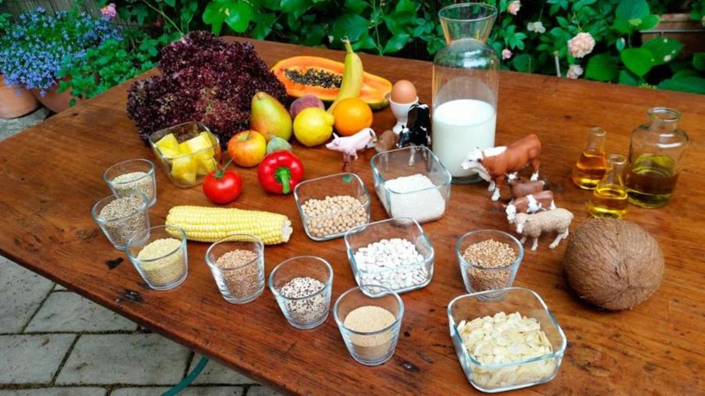 Streaming-Tipps: Dokus über Ernährung - [GEO]