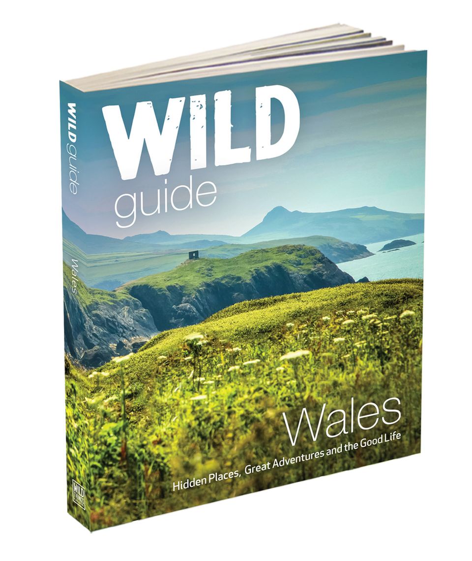 Wild Guide Wales - [GEO]