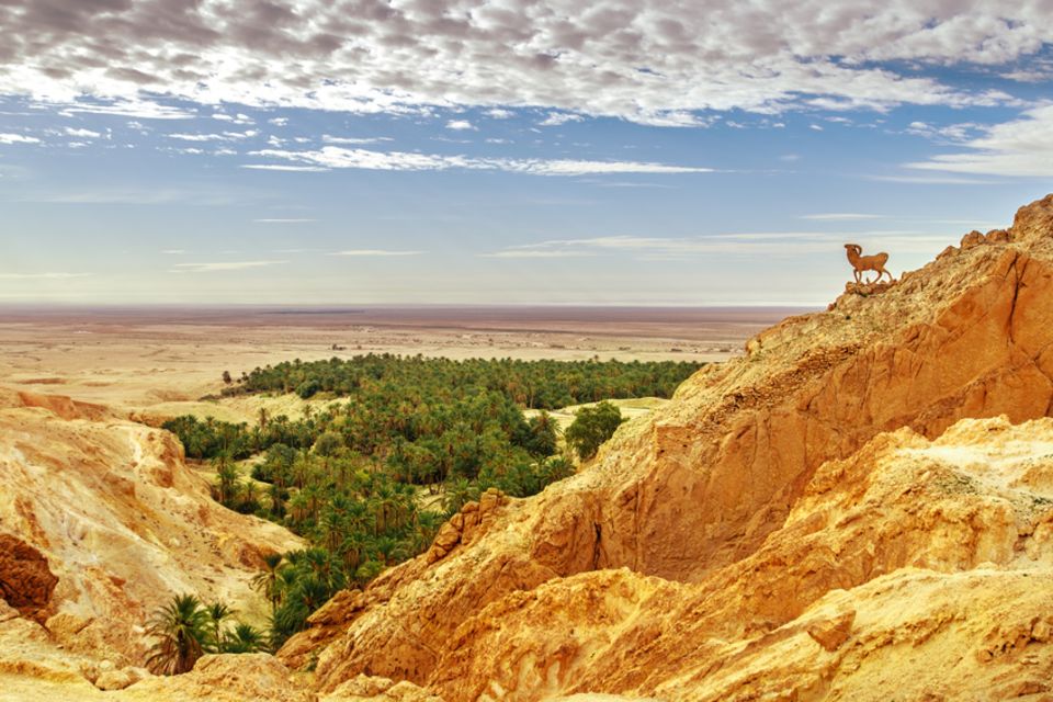 Chebika: Eine Oase wie im Film - [GEO]