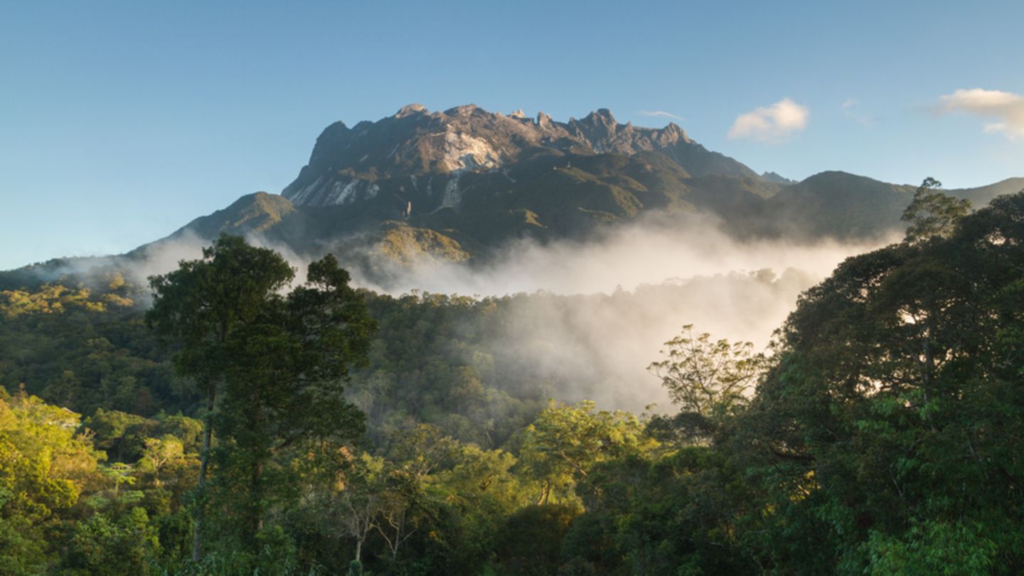 Borneo: Berührendes Naturwunder - [GEO]