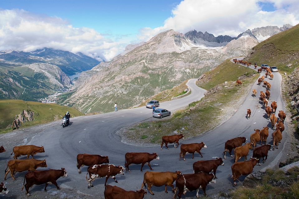 Col de L'Iseran - [GEO]