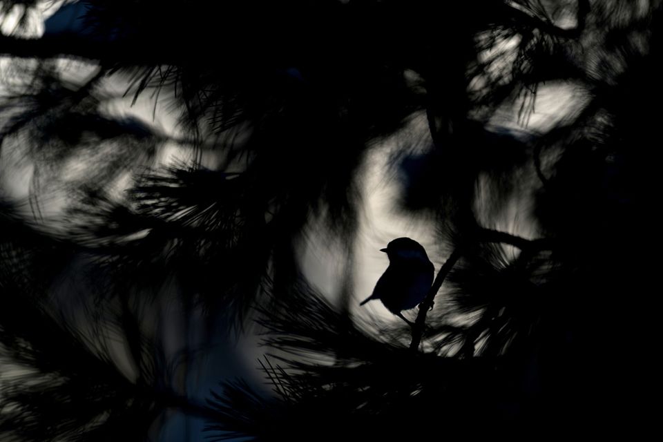 Patrick Moser – Schweiz - [GEO]