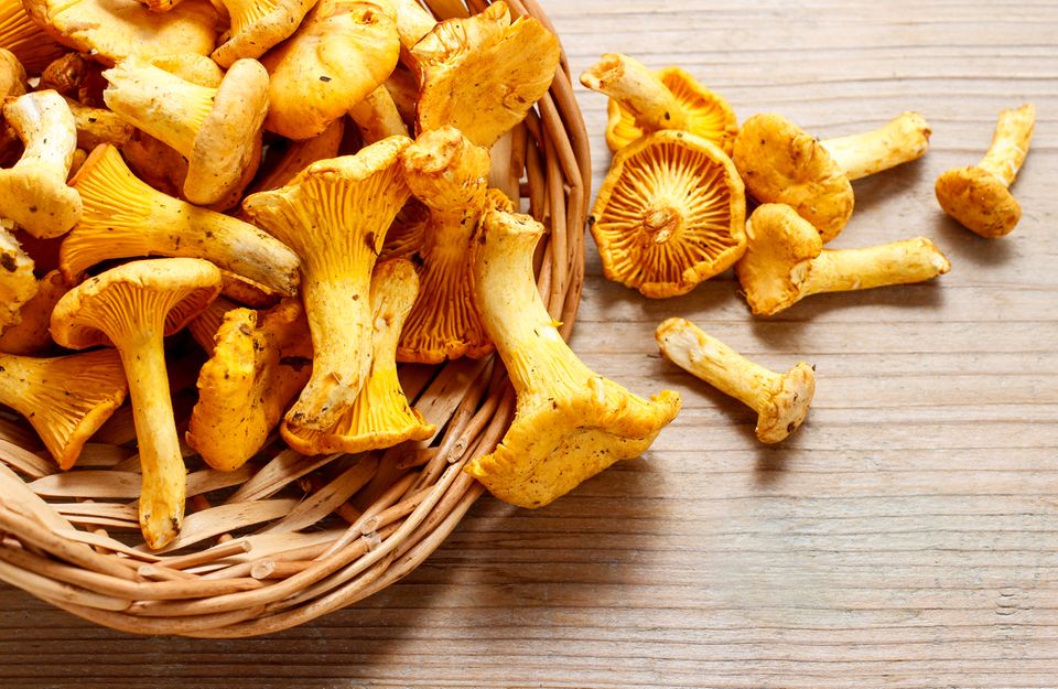 Pfifferlinge: Diese Vitamine stecken drin - [GEO]