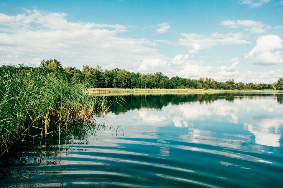 Leipzig: Die schönsten Badeseen - [GEO]